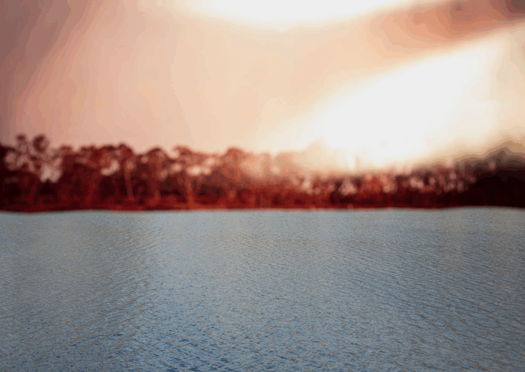 Incinerator Gallery - PETA CLANCY